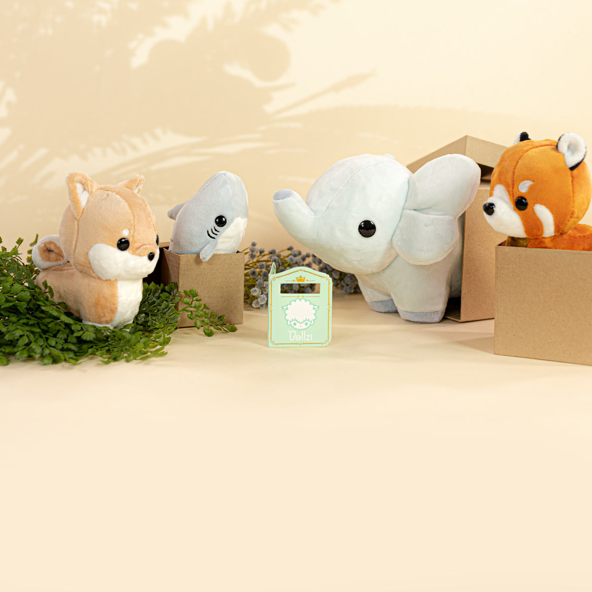 新品上市 – – Bellzi Taiwan