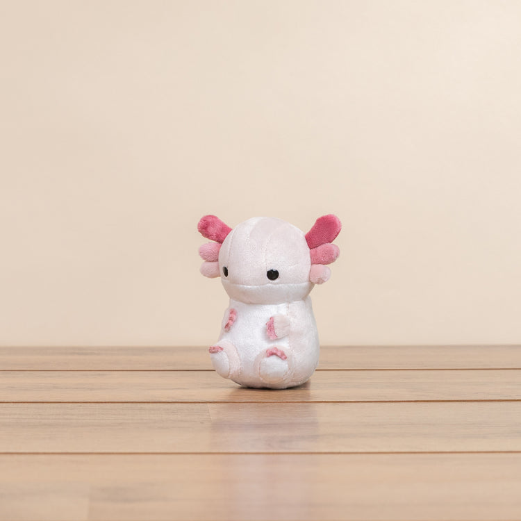 新品上市 – Bellzi Taiwan